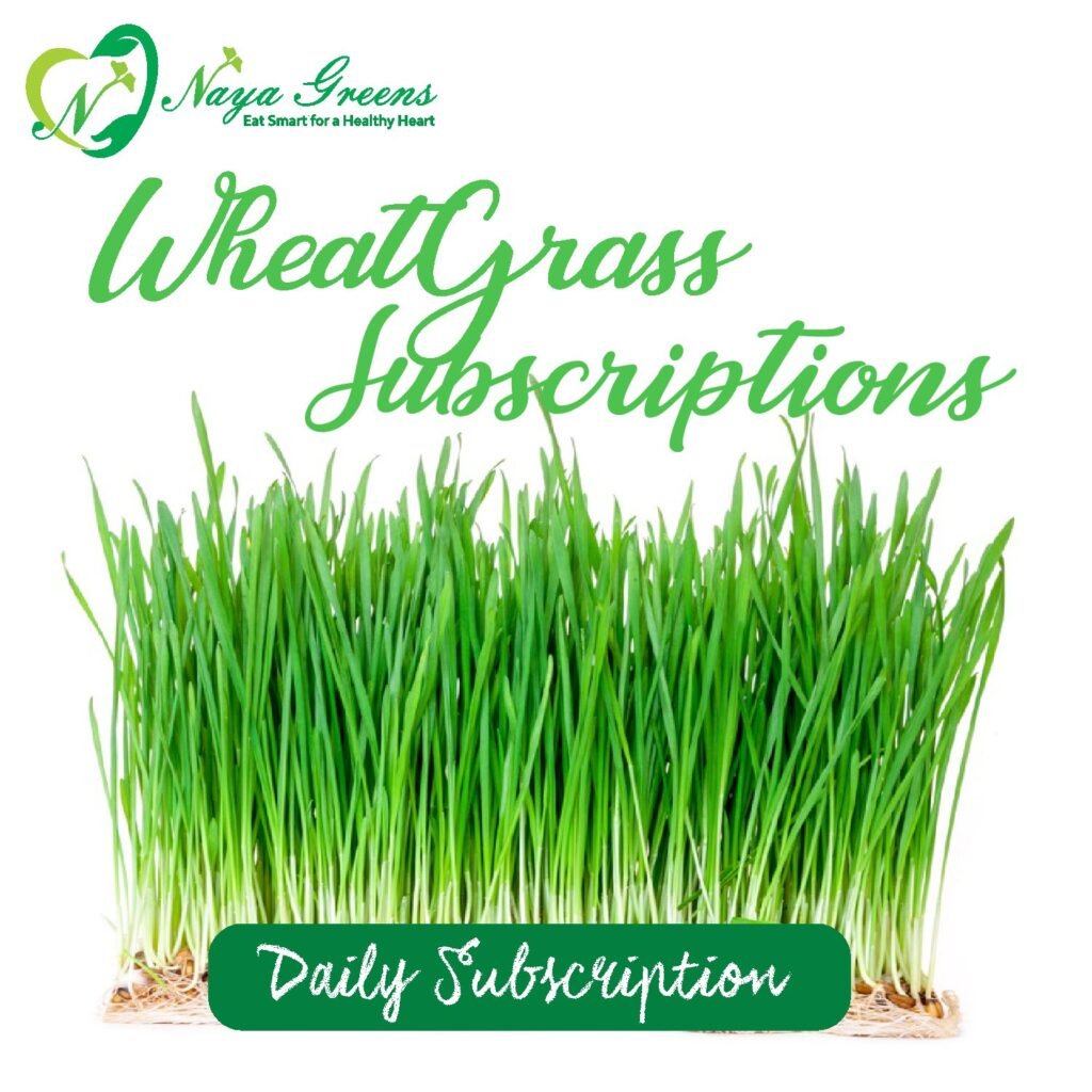 Wheatgrass Subscription - Every Day / Alt Days / Customised Days ...